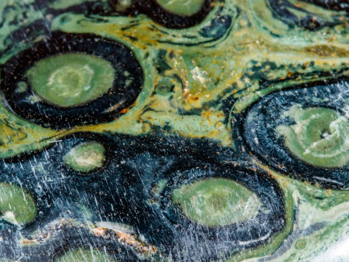 Kambaba Stone: How it Transformed Earth's Atmosphere– Tejas Beads