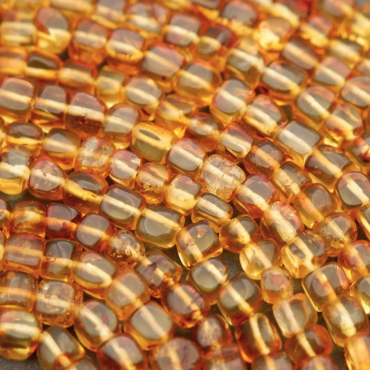 Amber · Smooth · Cubesque · 6mm | Beads | Tejas Beads