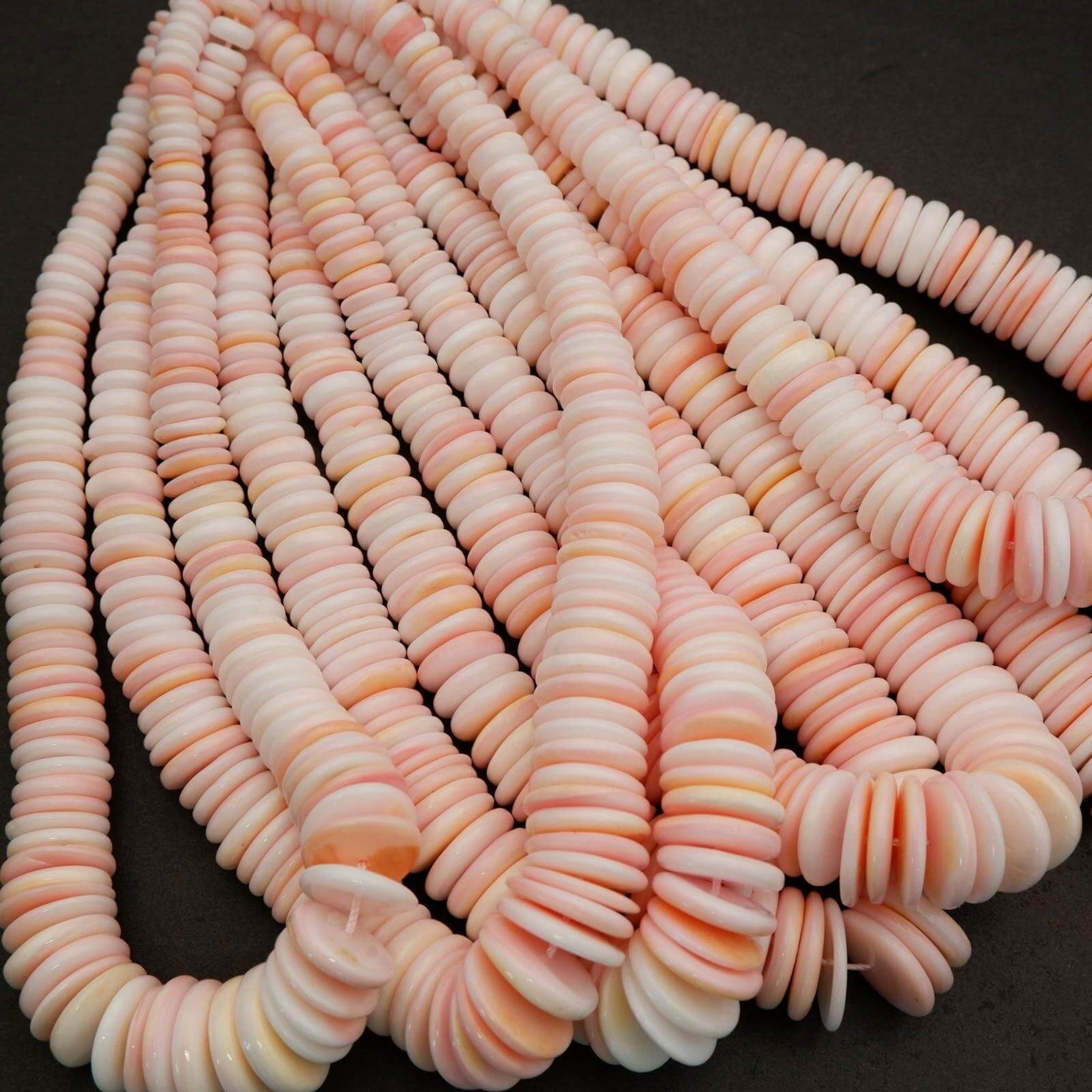 Queen Conch Shell · Smooth · Disk · Graduated 8mm to 20mm– Tejas Beads