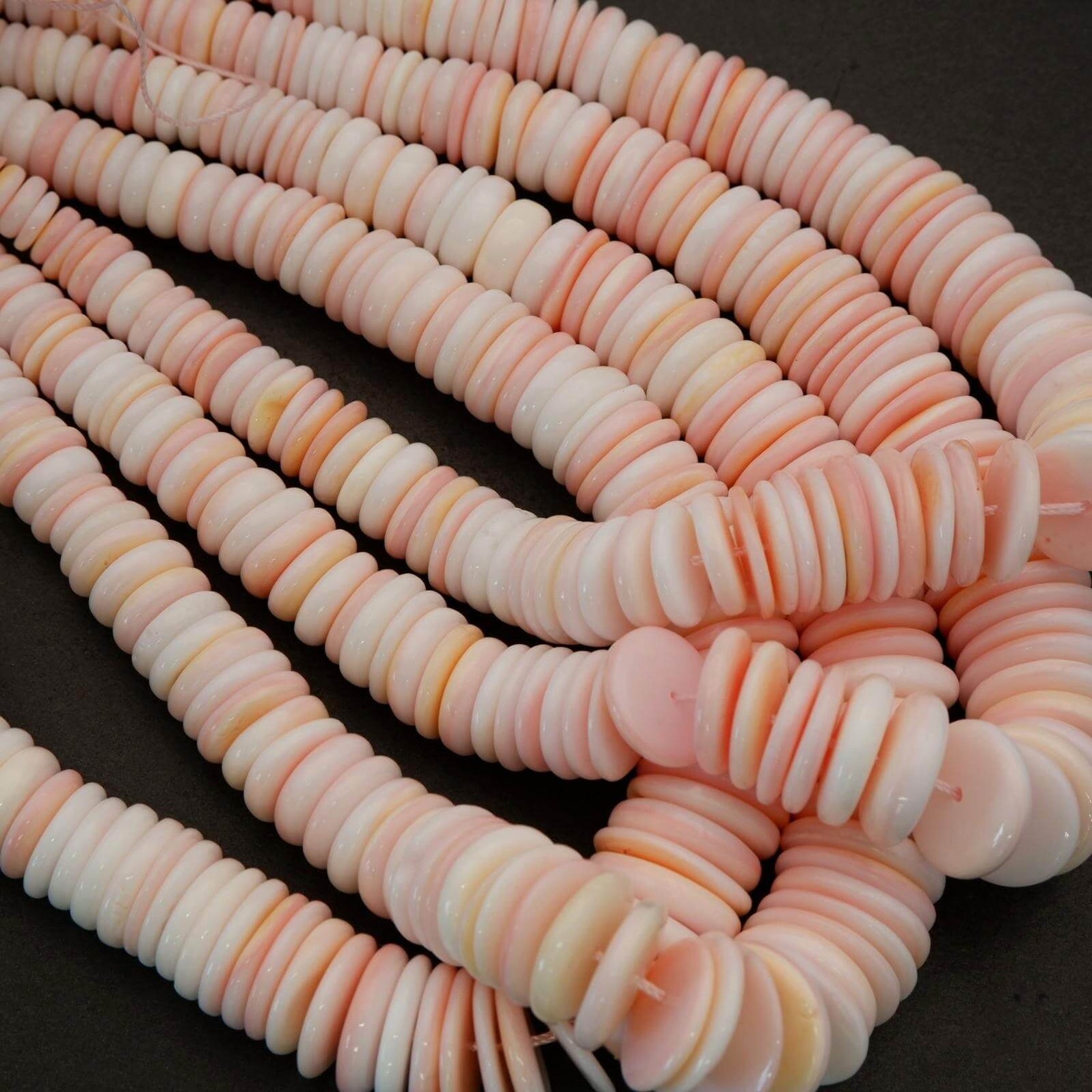 Queen Conch Shell · Smooth · Disk · Graduated 8mm to 20mm– Tejas Beads