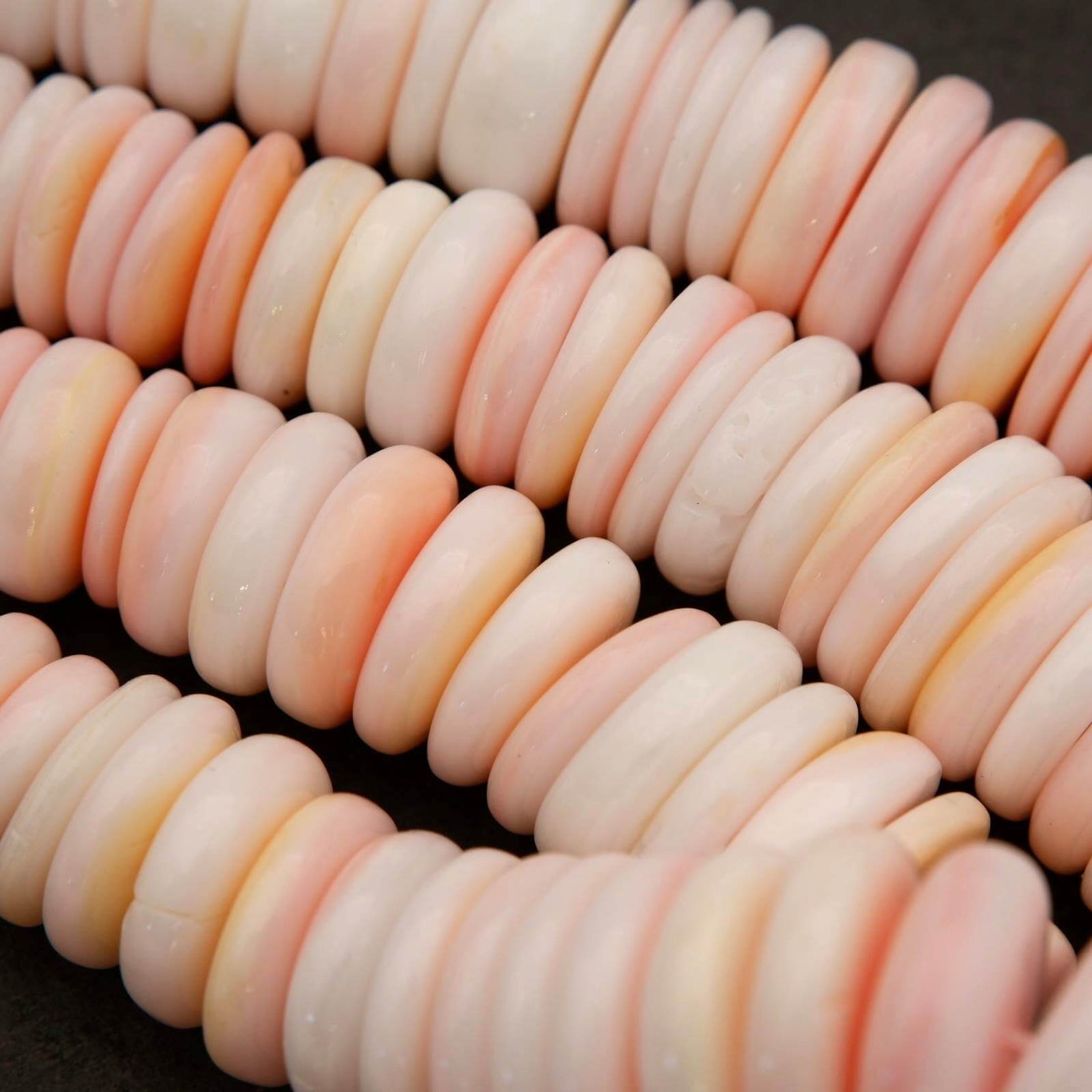 Queen Conch Shell · Smooth · Disk · Graduated 8mm to 20mm– Tejas Beads