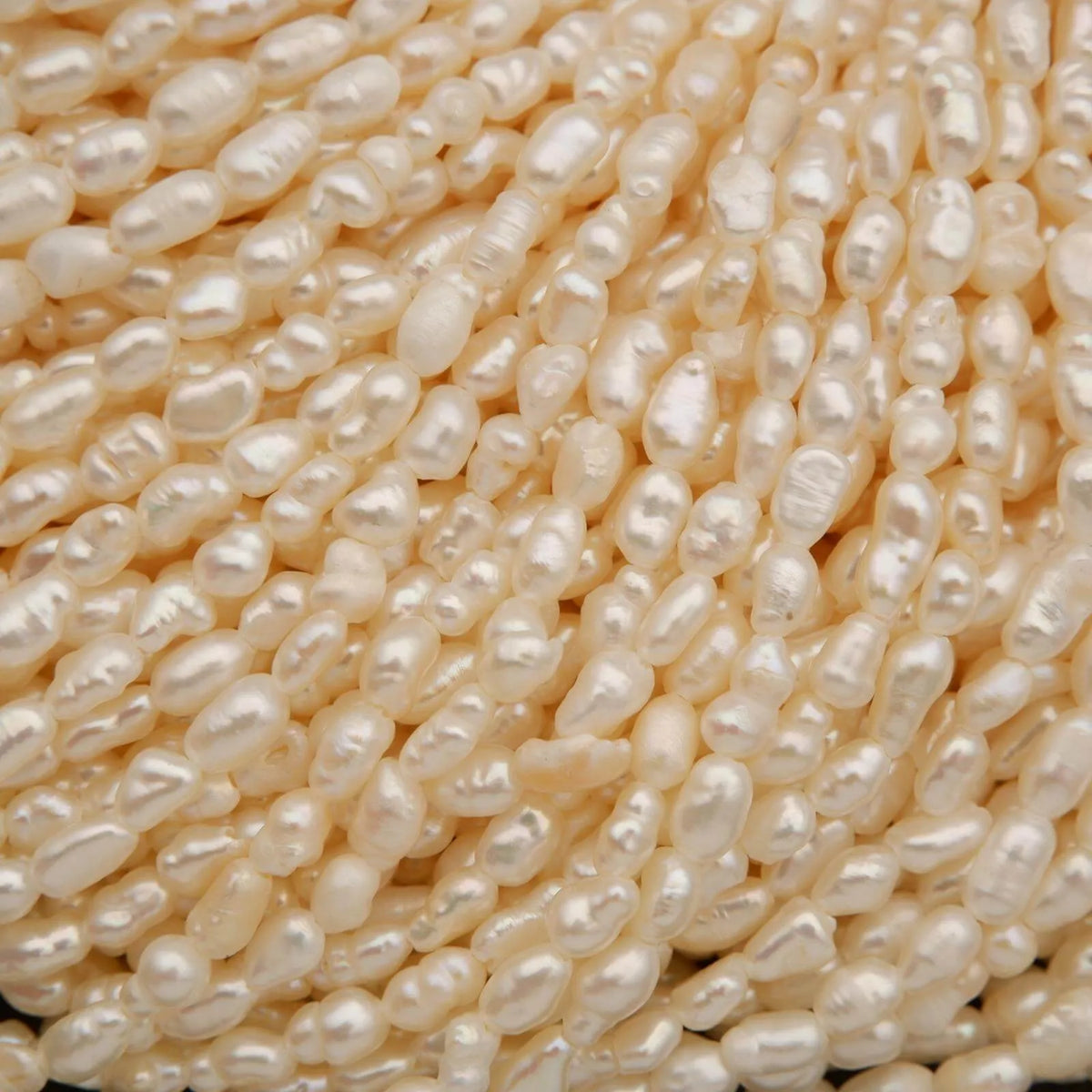 Freshwater Pearl · Rice · White · 3mm | Beads | Tejas Beads